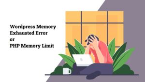 [3 Easy Method] Fix The WordPress Memory Exhausted Error - TechReviewGarden