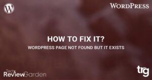 WordPress Page Not Found But It Exists: How To Fix It?